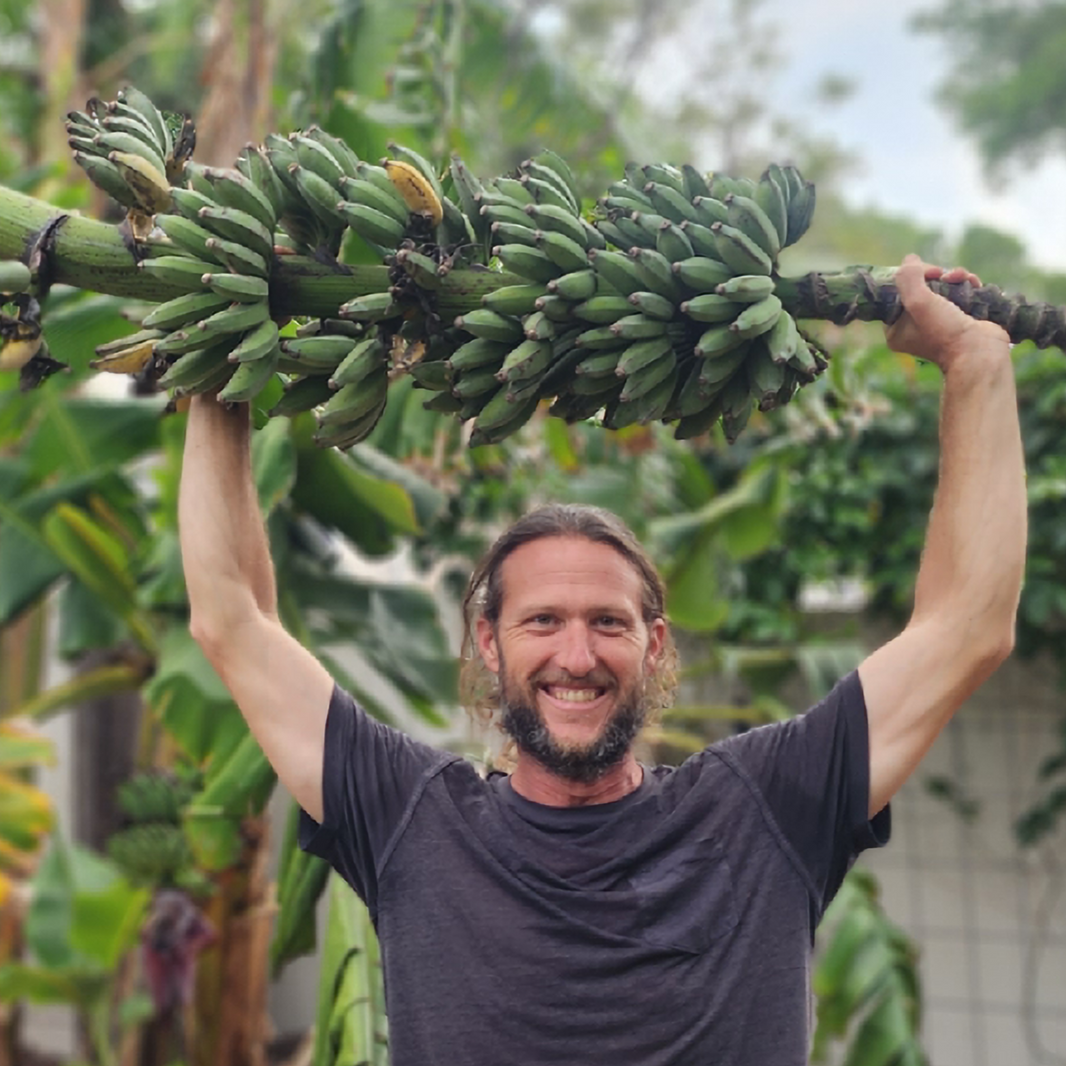 View Entire Inventory – Little Tree Homestead