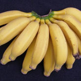 View Entire Inventory – Little Tree Homestead